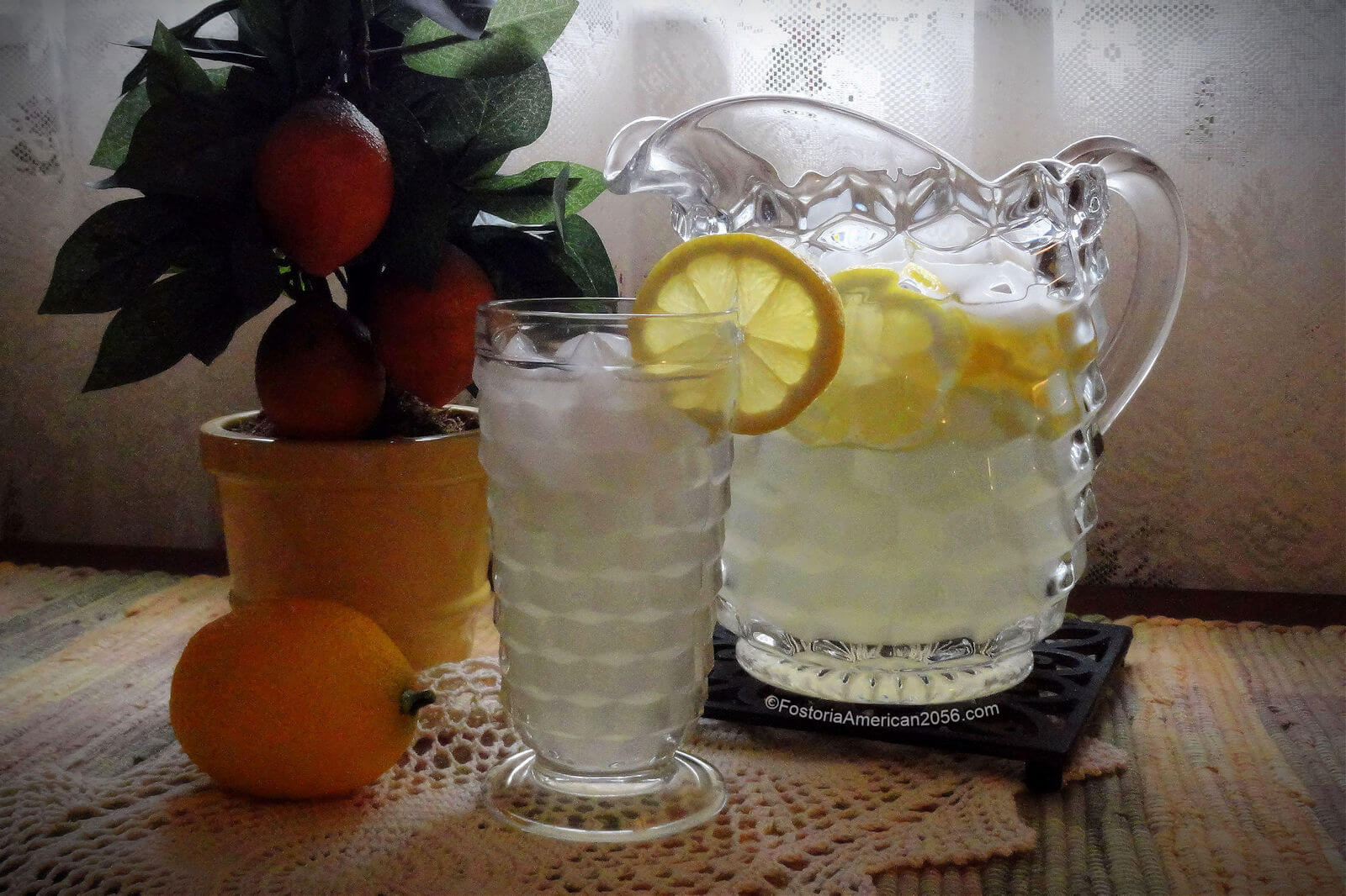 ½ Gallon Jug | Jugs, Pitcher, Water Bottle